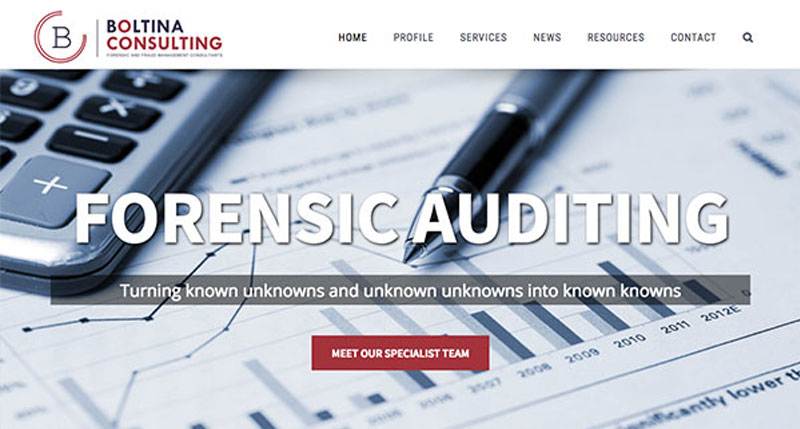 Auditor Website Design | Web Development